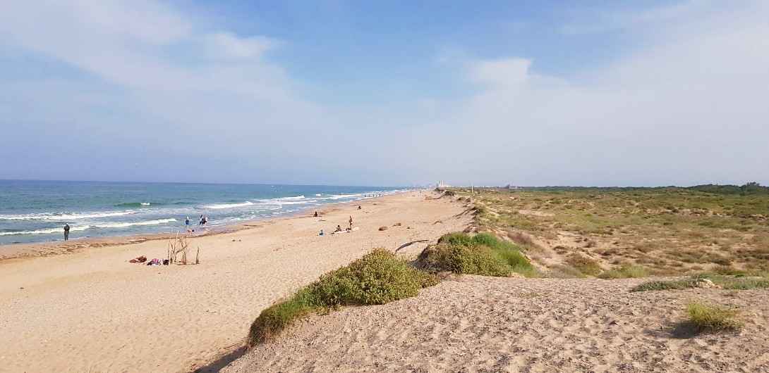 Ponturi utile pentru un turist în Valencia - Valenciana.ro