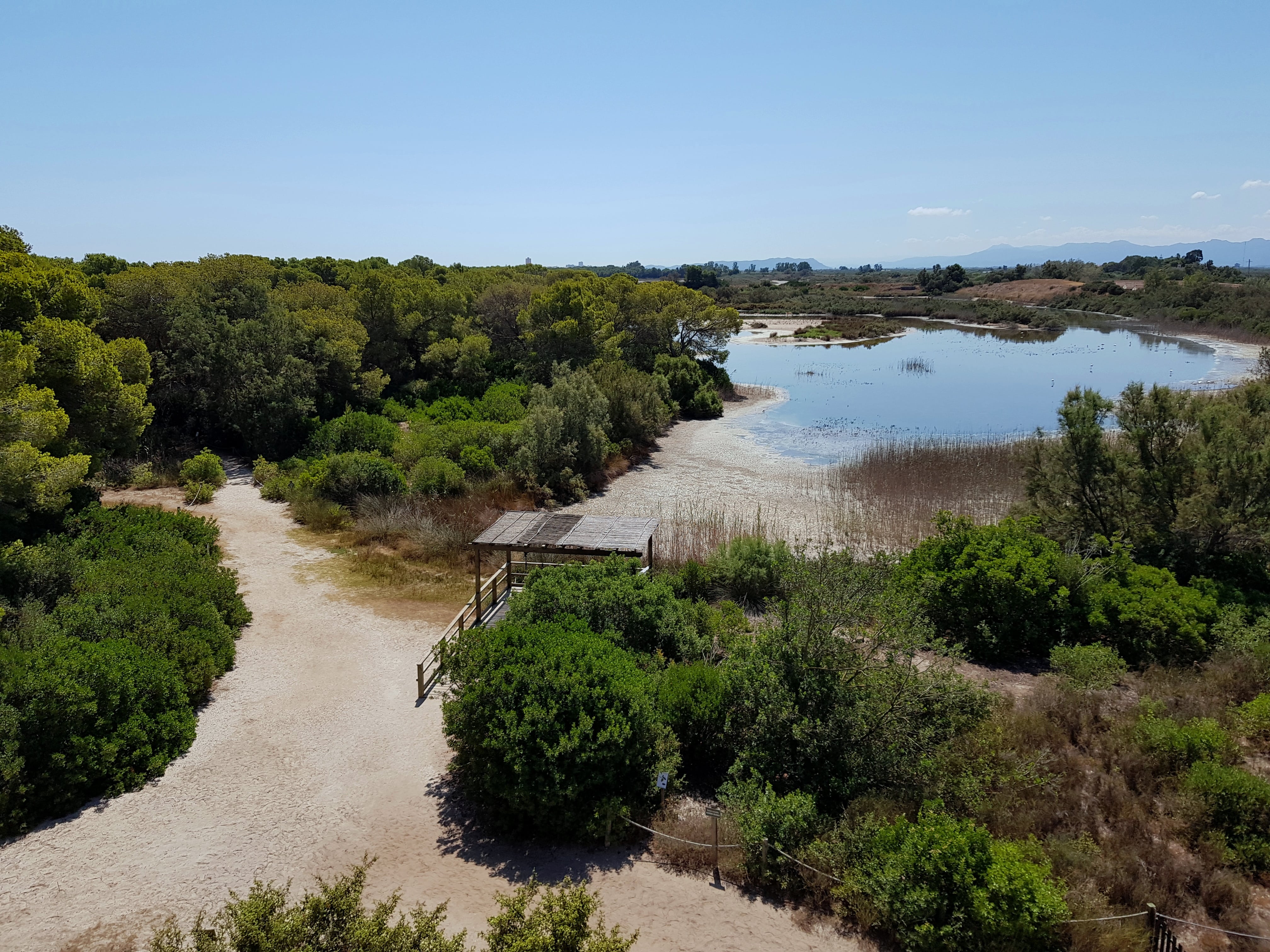 Centrul Racó de L'Olla, Albufera, în vizită la flamingo - Valenciana.ro
