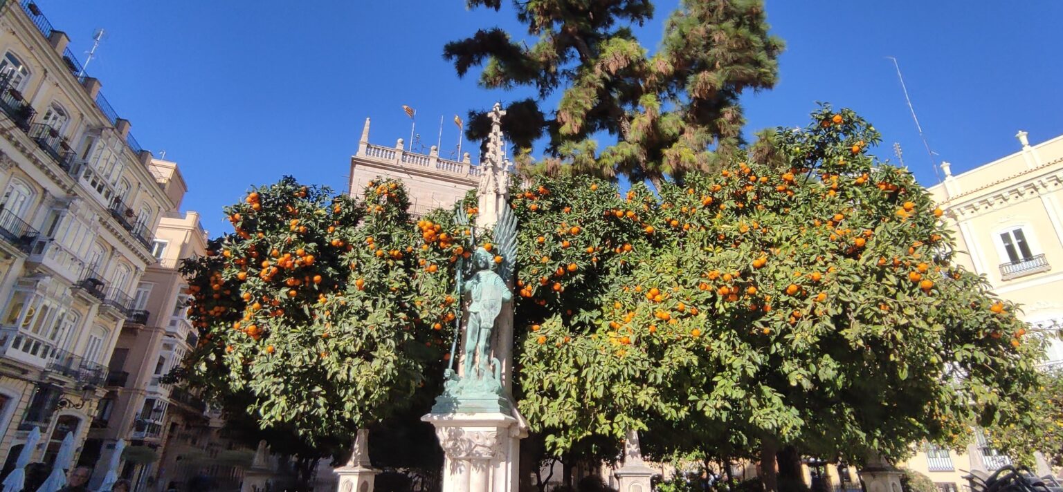 Portocalii din Valencia - Valenciana.ro